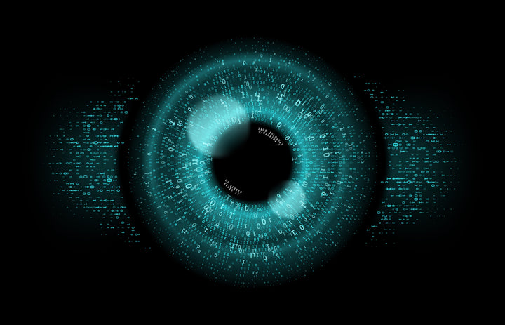 History Of Eye Tracking Innodem Neurosciences